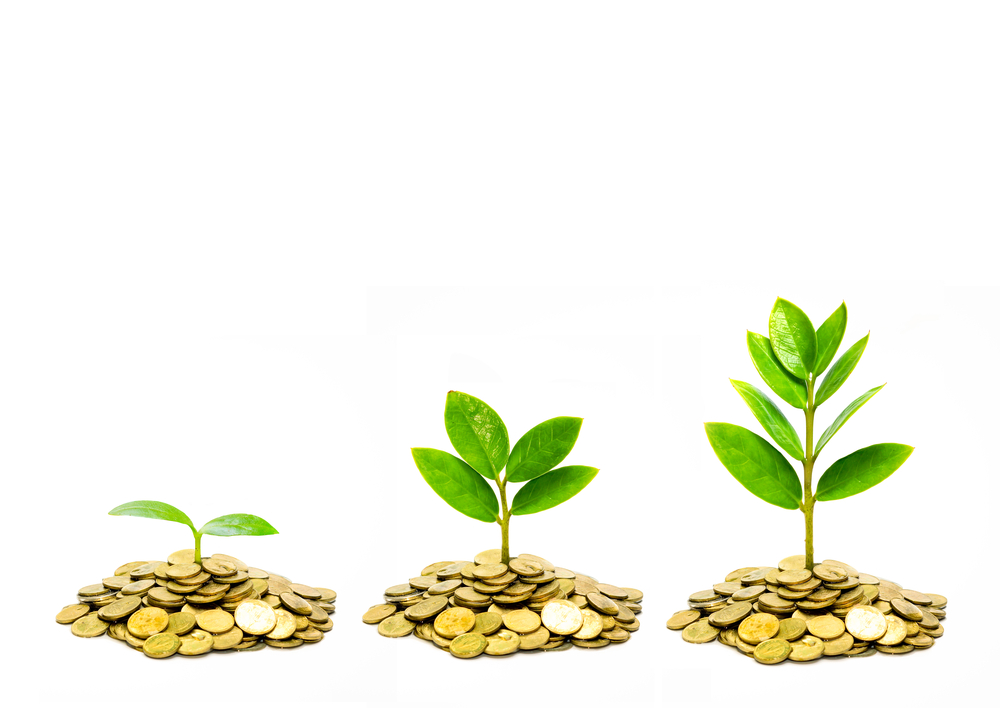 The top 3 products you can create to help your business grow - Vervante ...